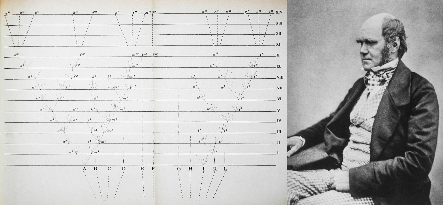 3.1 Darwin and Natural Selection – College Biology I