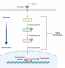 11.3 Signal Transduction – College Biology I